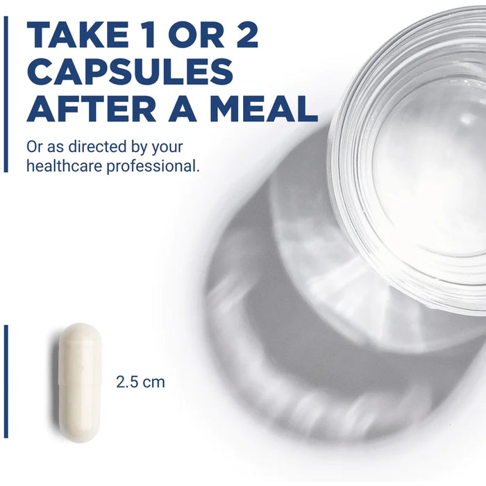 Vital Nutrients - Pancreatic Enzymes (1000 mg) — Pine Street Clinic