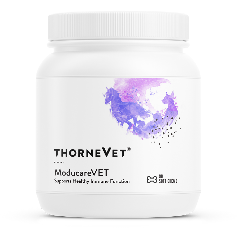 Thorne Vet - ModucareVET — Pine Street Clinic
