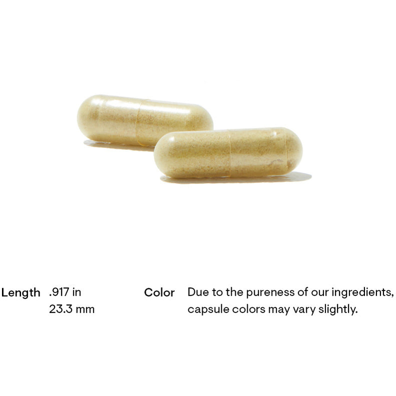 Thorne - GI Relief - 180 Capsules — Pine Street Clinic